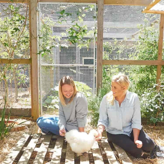 Full Tour of My Ultimate Chicken Coop Set Up | Free Guide by Author ...