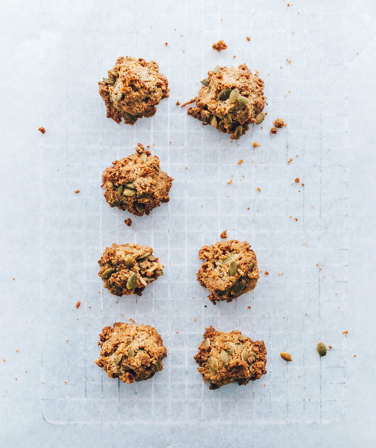 Coconut Seed Chews in the Thermomix | Recipe – alyce alexandra