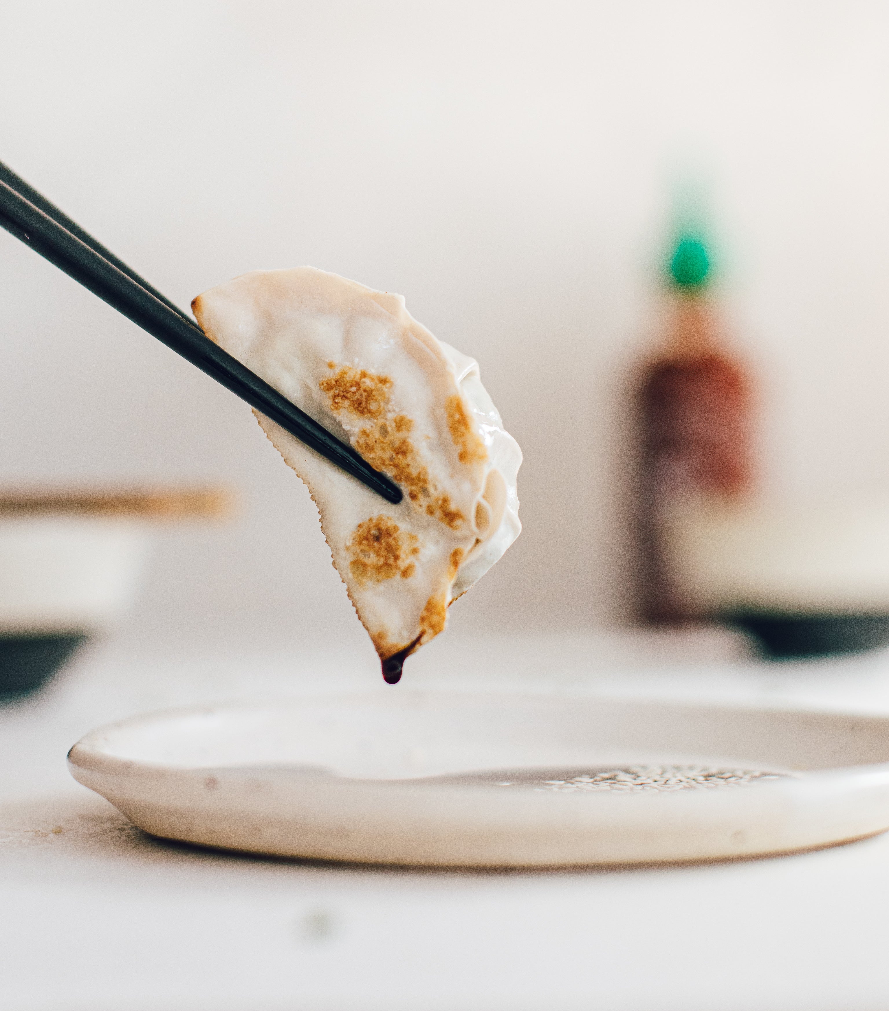 Vegan Pot Sticker Dumplings in the Thermomix | Recipe – alyce alexandra